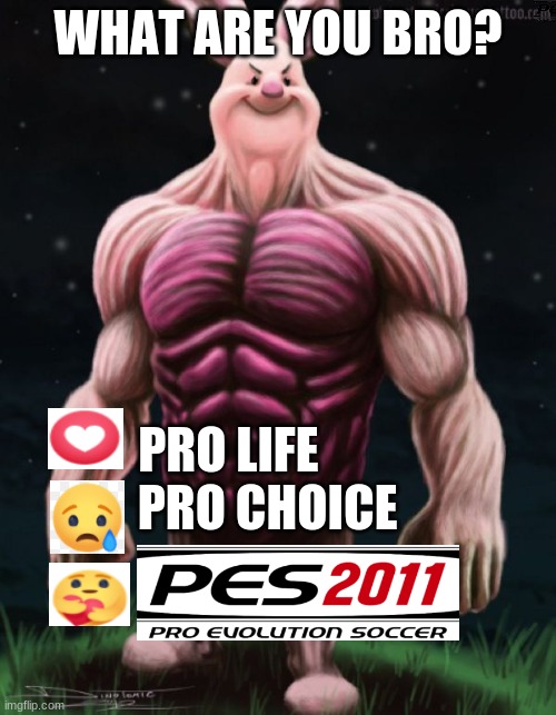 What are you bro? - Imgflip