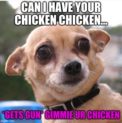 Concerned Chiwawa - Imgflip