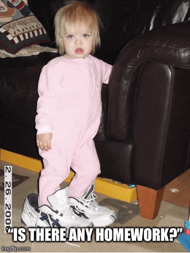 “do we have homework” - Imgflip