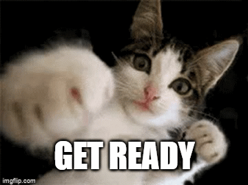 boxing cat - Imgflip