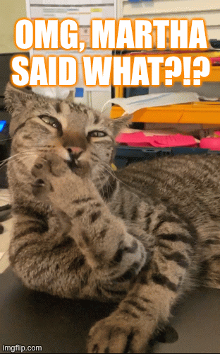 Saaay whaaat?! - Imgflip