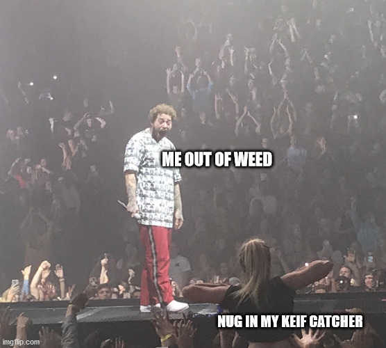 Post Malone Being Flashed - Imgflip