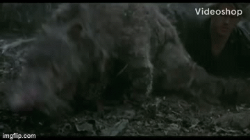 How to cook a nutria - Imgflip