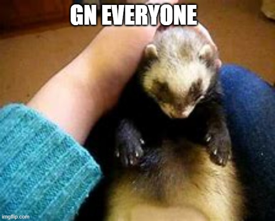 gn darlings - Imgflip