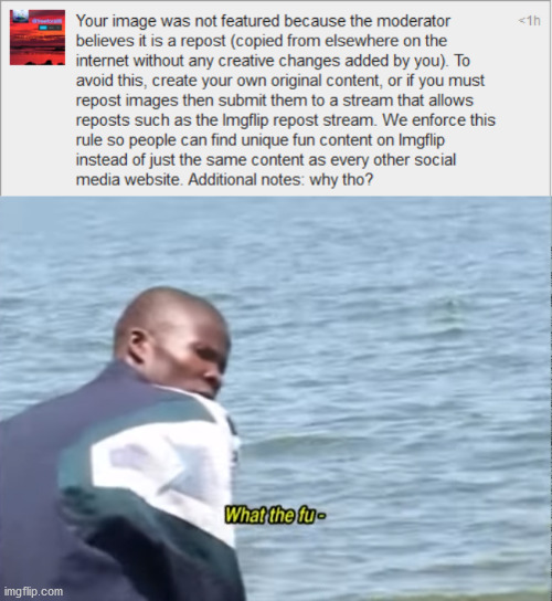 who the fu~ - Imgflip