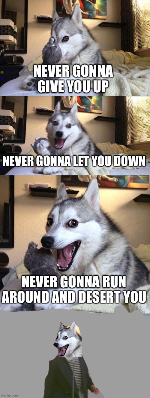 Never gonna give you up Dog - Imgflip