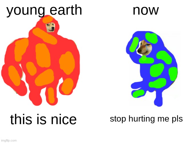 Buff Doge vs. Cheems Meme - Imgflip