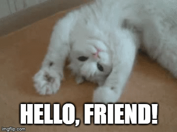 cute kitty saying hi - Imgflip