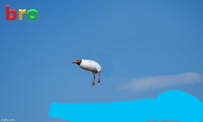 It’s evolving - Imgflip