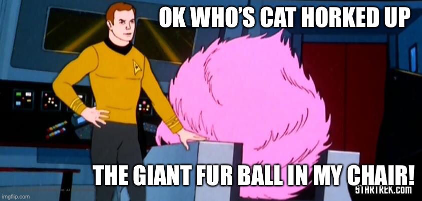 Furball - Imgflip