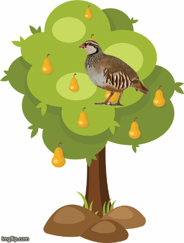 On the first day of christmas partridge in a peartree mariasbureau ...