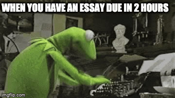 starting on an essay at the last minute be like... - Imgflip