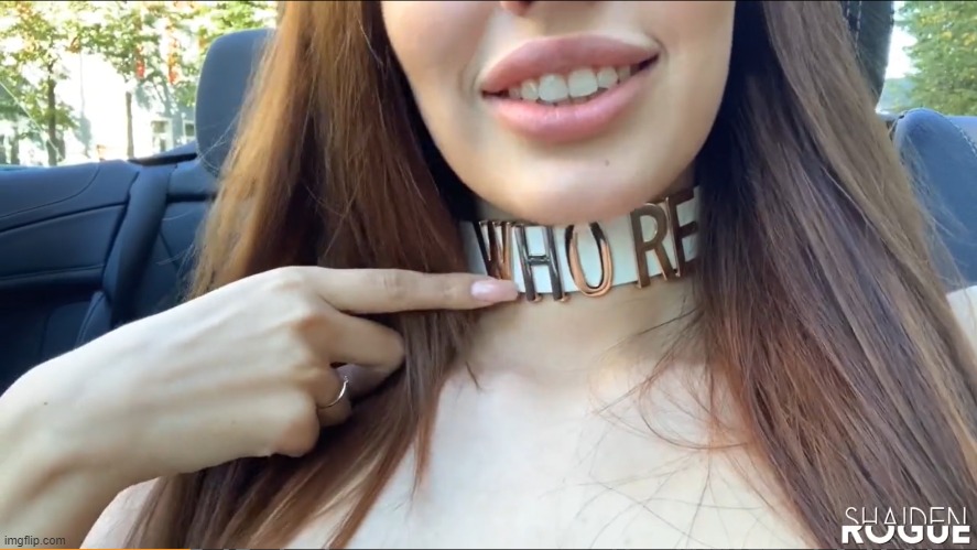 Shaiden Rogue reclaims a hateful word. - Imgflip