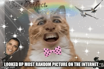 Random Shit - Imgflip