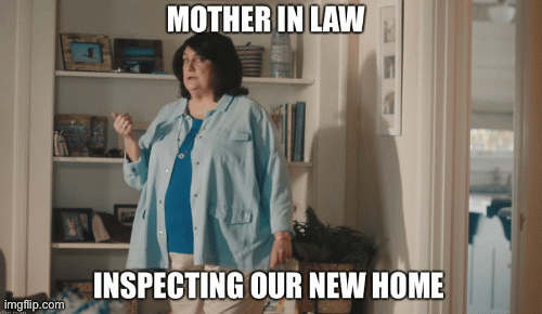 Mother in law - Imgflip