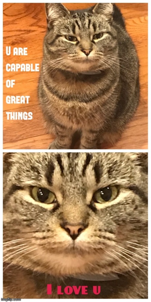 He speaks truf - Imgflip