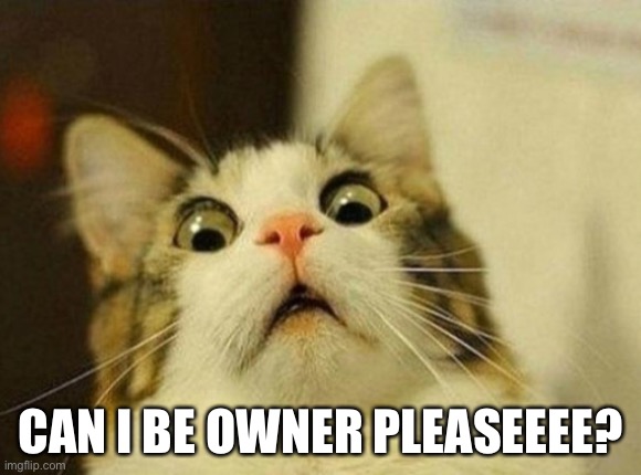 I will be a very good owner I promise :) - Imgflip