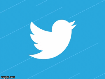 did you know the twitter bird's name is Larry. It's a fact - Imgflip