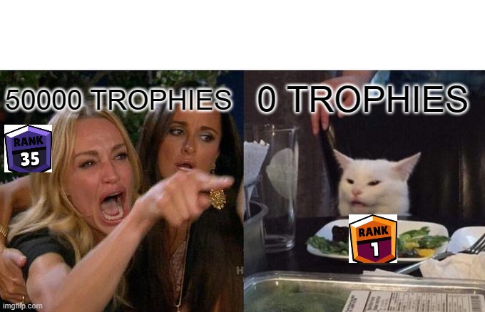 Woman Yelling At Cat Meme - Imgflip