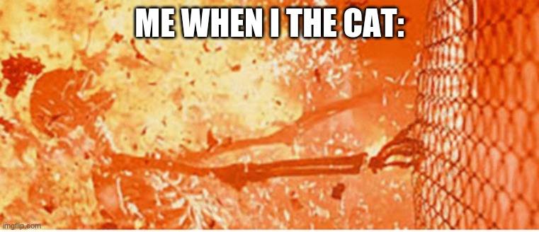 What the hell happened here - Imgflip