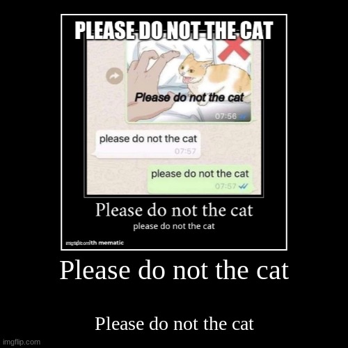 Please do not the cat - Imgflip