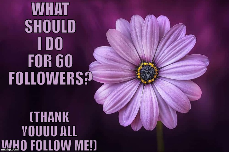 not face, saving that for mor followers -___- - Imgflip