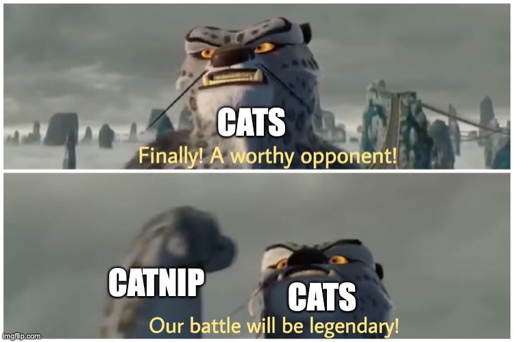 Our Battle Will Be Legendary - Imgflip