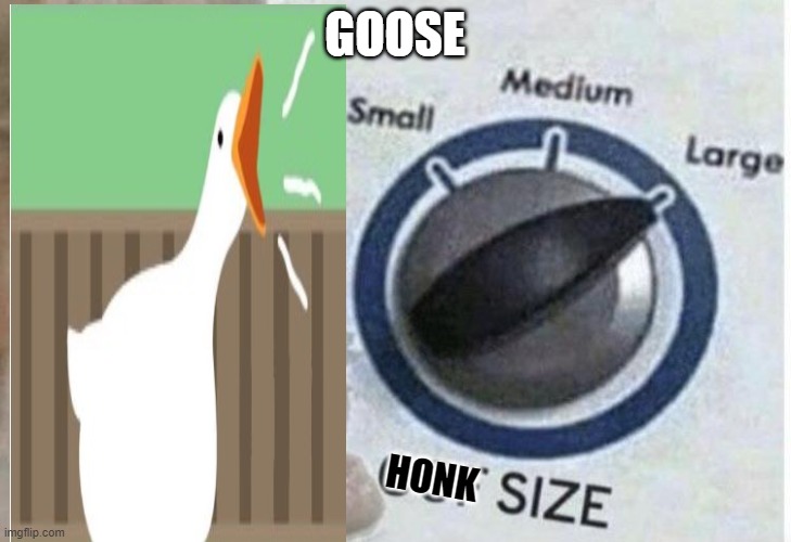 honk - Imgflip