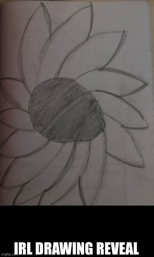 About the only thing I can draw irl - Imgflip