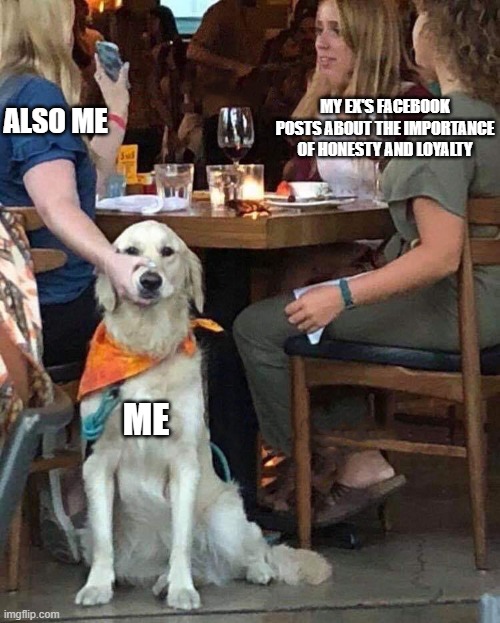 The fucking audacity - Imgflip