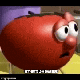 made ya look - Imgflip