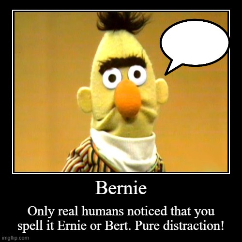 BERNIE - Imgflip