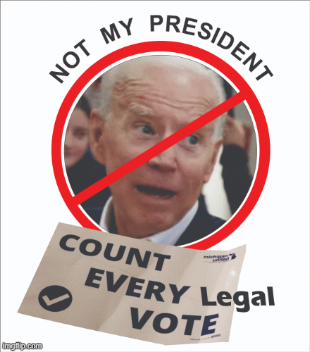 Biden' Not My President - Imgflip