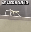 Get stick bugged - Imgflip