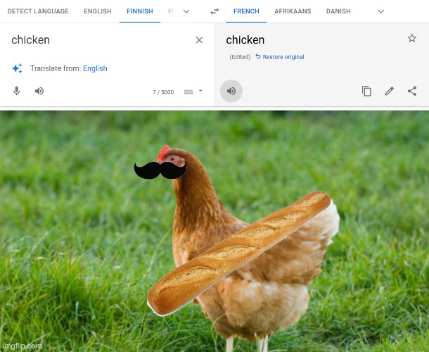 ok last chicken post FOR TODAY - Imgflip