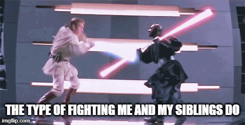 sibling fights - Imgflip