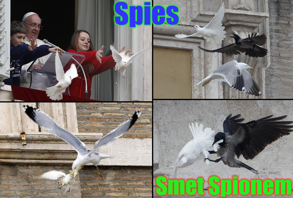 Image tagged in i honestly believe that sometimes my genius it ...