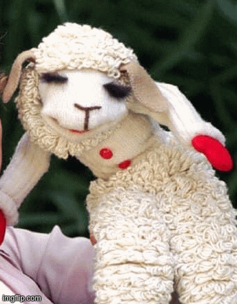 Lambchop - Imgflip