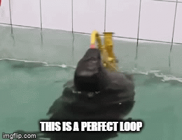 A perfect loop - Imgflip