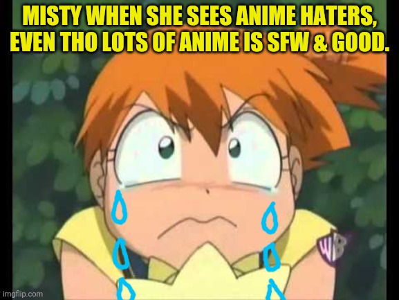 Why you make Misty cry? - Imgflip