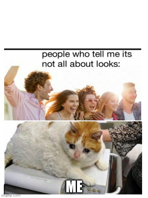 Blank White Template - Imgflip