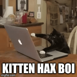 kitten hax - Imgflip