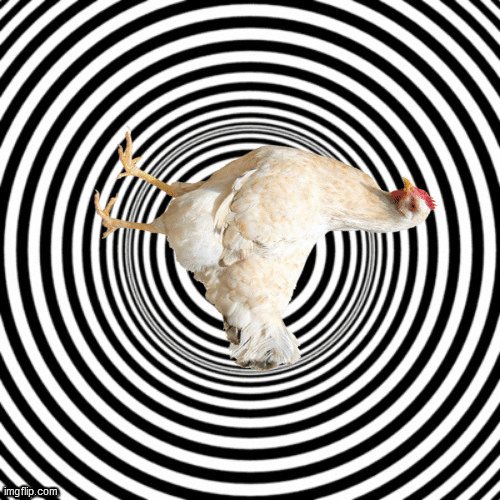 Spinning. Chicken. Of. Destiny. - Imgflip