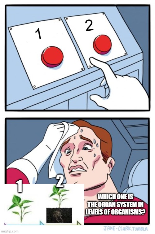 Living Enviroment - Imgflip