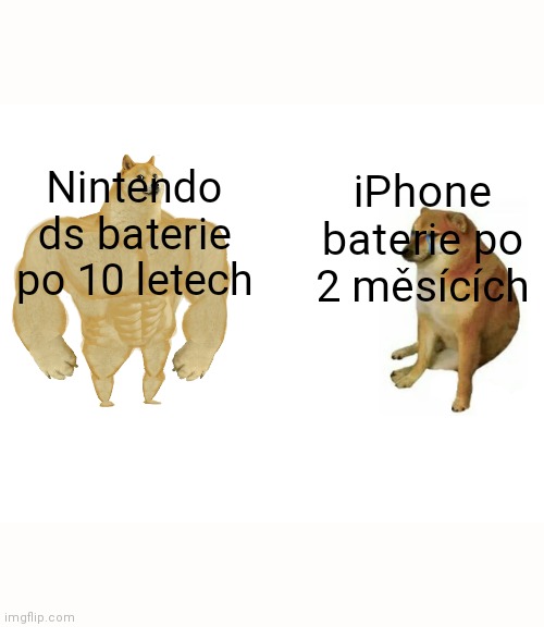 Buff Doge vs. Cheems Meme - Imgflip