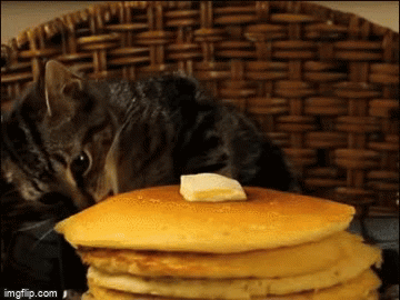 Thieving kitten - Imgflip