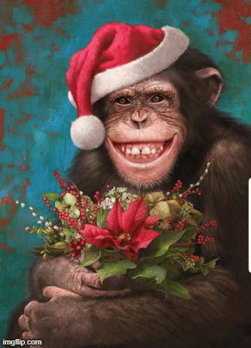 Monkey Poop Xmas - Imgflip