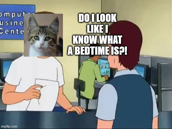 Do i look like I know what a jpeg is? - Imgflip