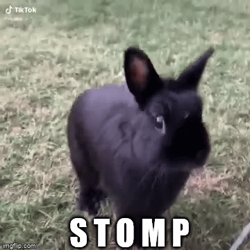 (via An animated GIF) – @speedygal on Tumblr