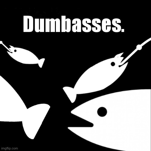Bait dumbasses - Imgflip